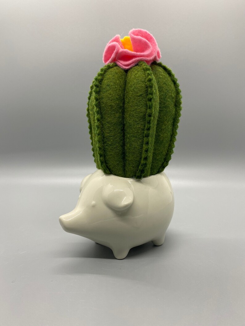 Pig Felt Cactus, Home Decor, Office Decor, Cactus Pot, Cactus Decor ...