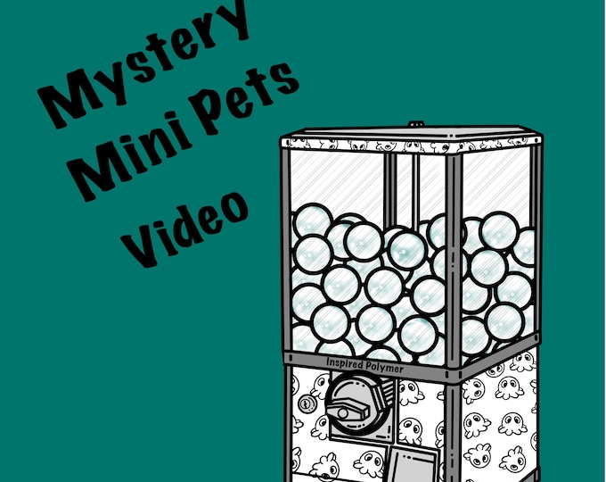 Mystery Mini Pets (VIDEO) - Etsy