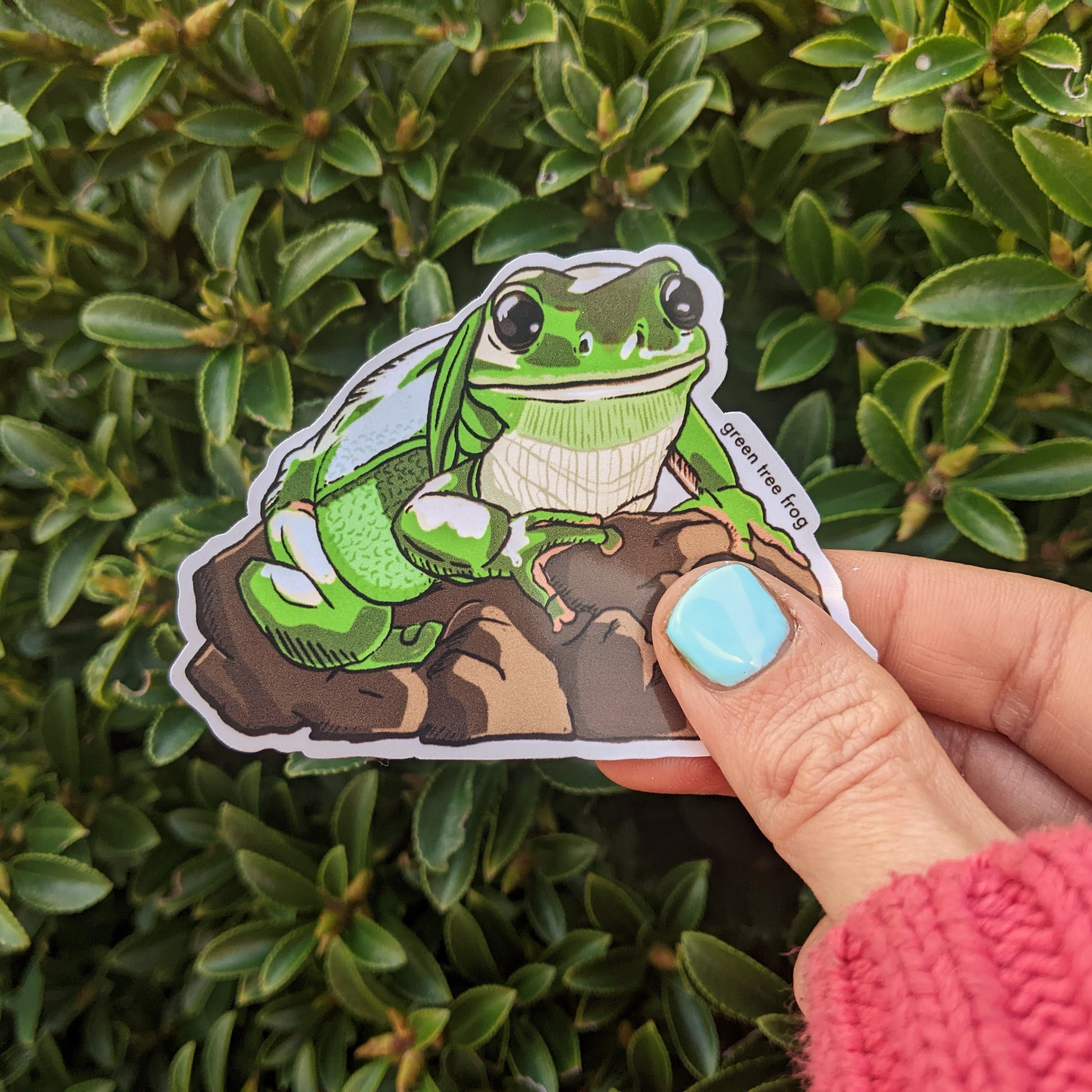 Australian Green Tree Frog Sticker Waterproof Vinyl Sticker - Etsy