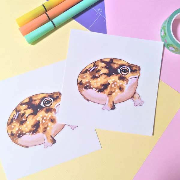 African Rain Frog - Etsy