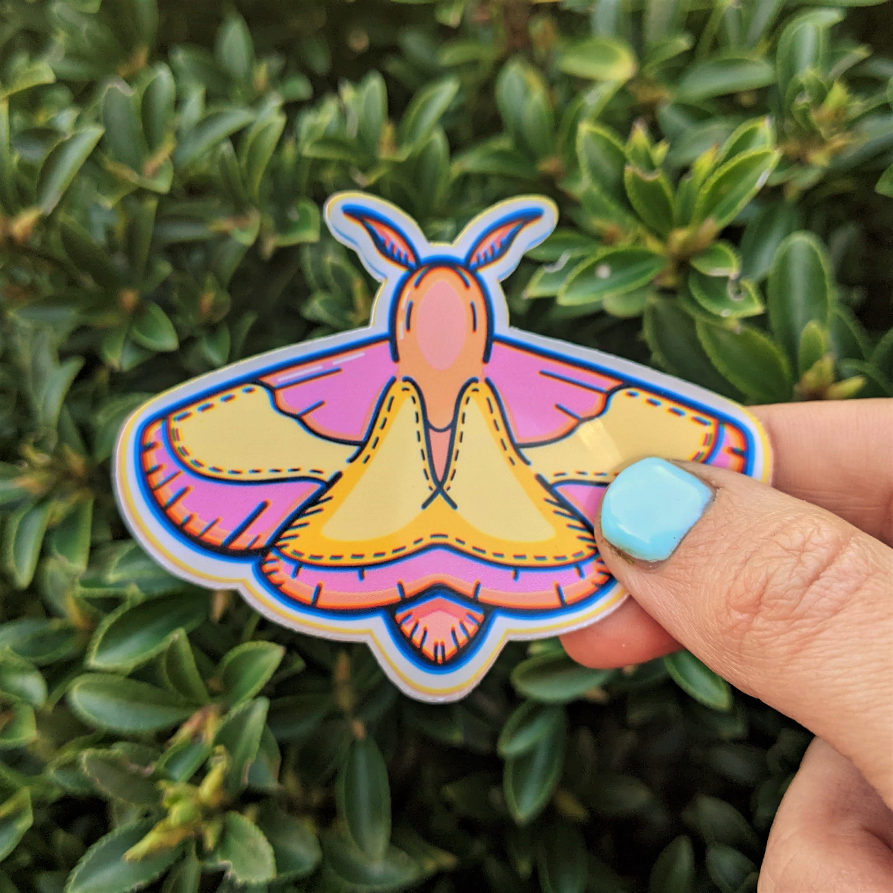 Rosy Maple Moth 3" Vinyl Sticker | Waterproof Option | Cute Moth ...