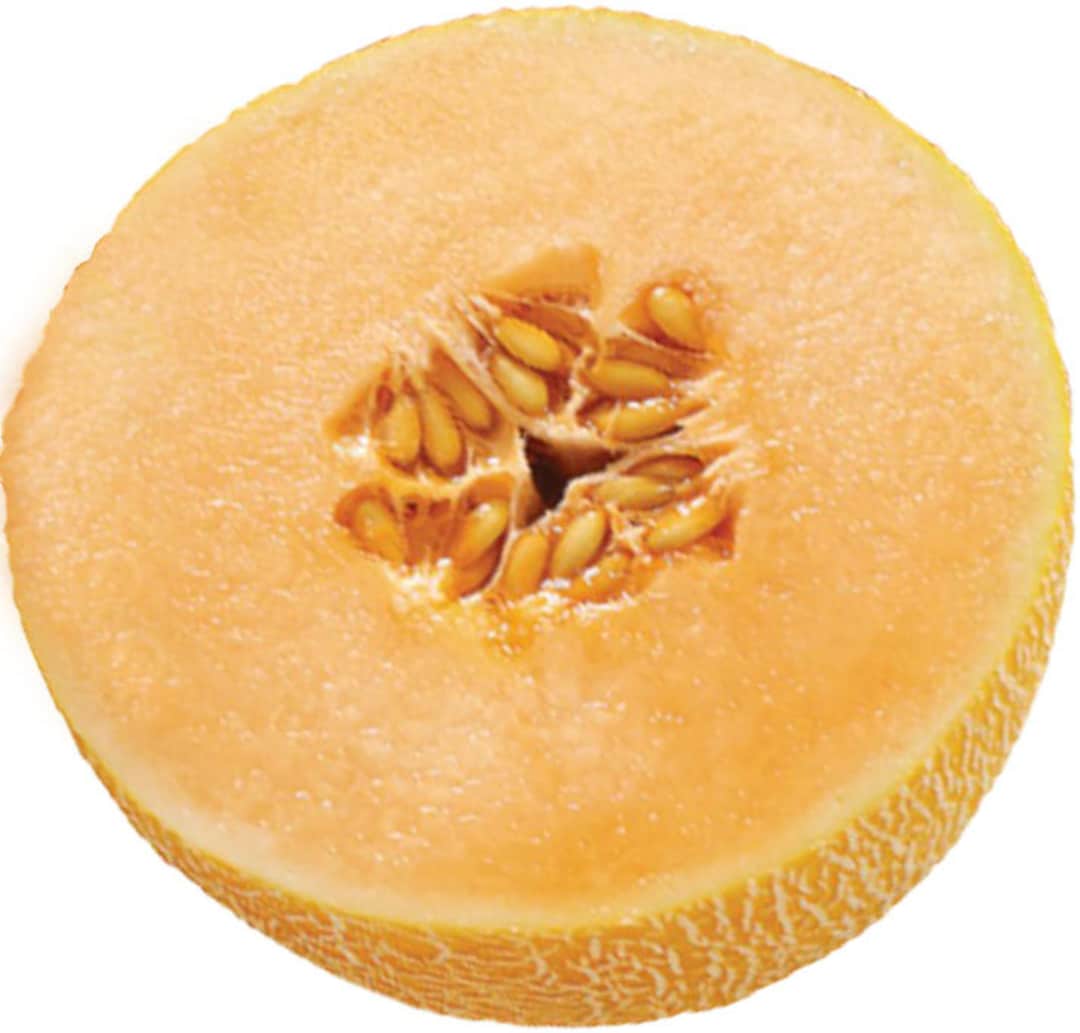 Hami Melon Seeds - Grown in Texas - Free Shipping - - Etsy