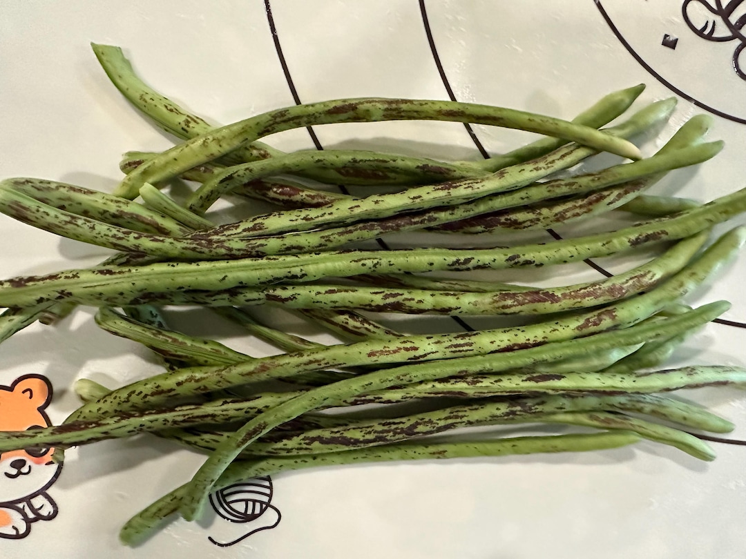Thai Soldier Long Beans | High Yield, Heat-tolerant & Pest-resistant ...