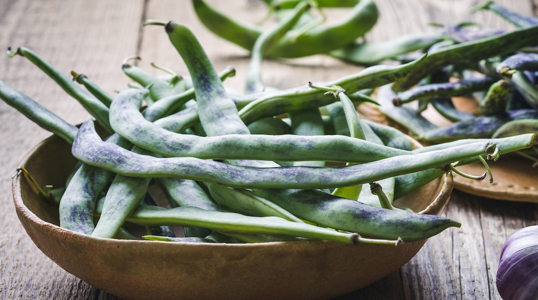 Rattlesnake Bean Seeds (pole) | Heirloom Runner Beans Vining Purple ...
