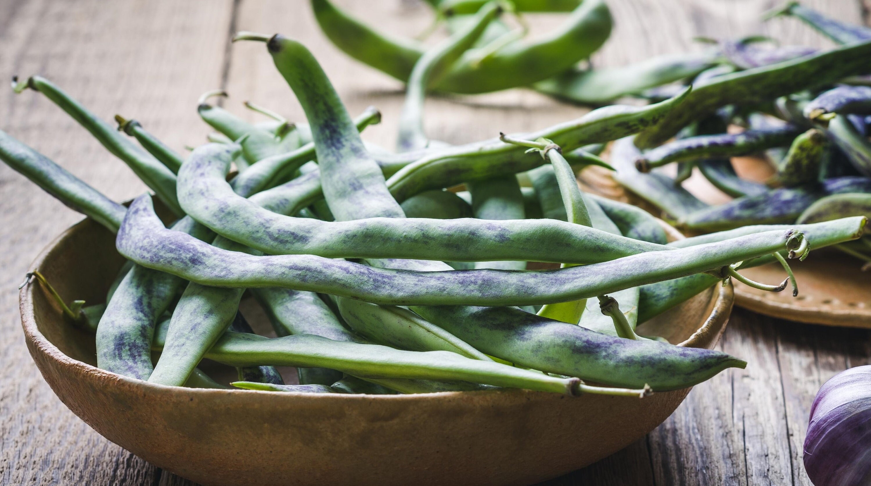 Rattlesnake Bean Seeds (pole) | Heirloom Runner Beans Vining Purple ...