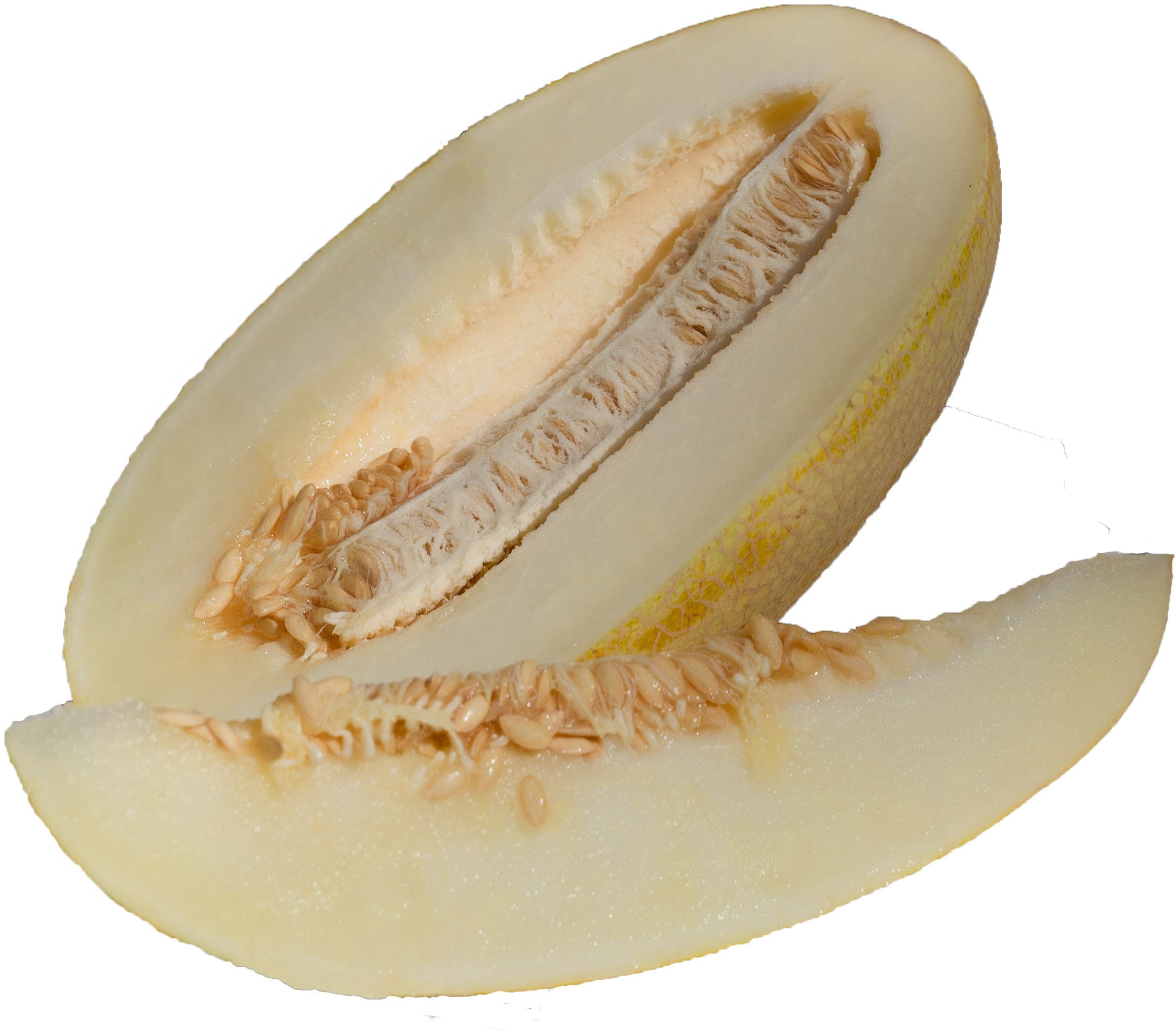 Hami Melon Seeds - Grown in Texas - Free Shipping - - Etsy