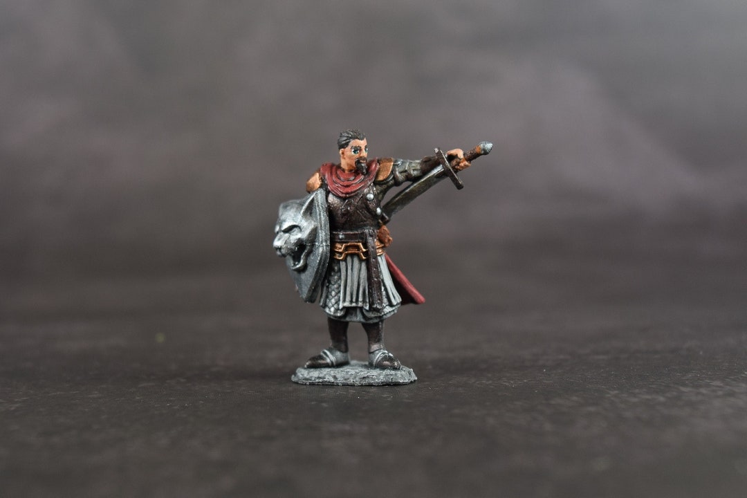 Dnd Painted Male Human Champion | Dungeons and Dragons Miniature ...