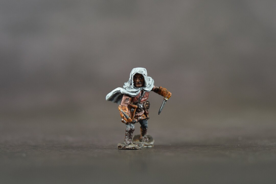 Dnd Painted Halfling Rogue Gnome Fighter Dungeons and Dragons Miniature ...