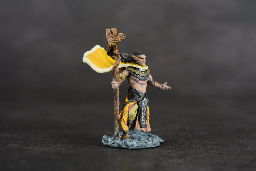 Dnd Painted Elf Cleric Dungeons and Dragons Miniature Elven Sorcerer ...