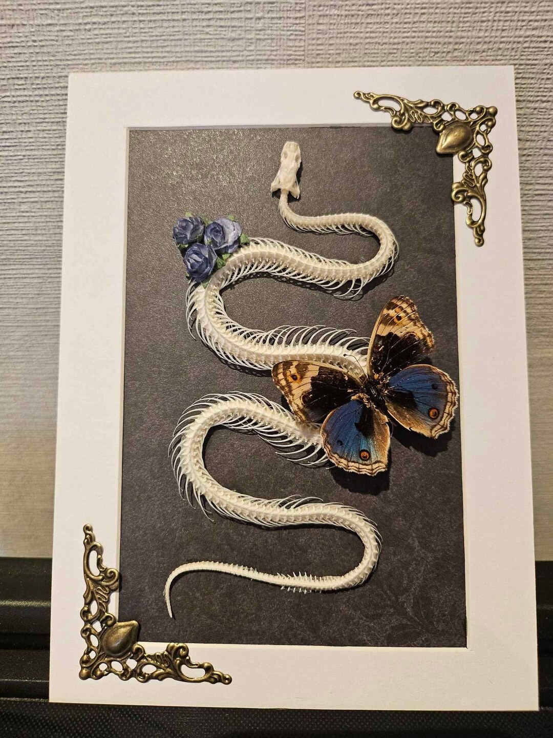 Snake and Butterfly - Etsy