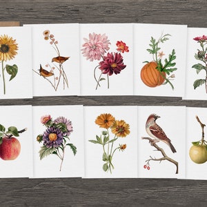 10 Autumn Recycled Greeting Cards | Fall Floral Greeting Cards Set ...
