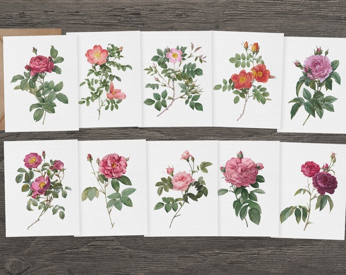 10 Rose Recycled Greeting Cards | Flower Greeting Cards Set | Flower ...