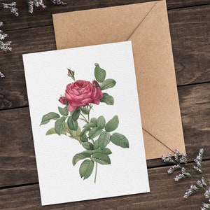 10 Rose Recycled Greeting Cards | Flower Greeting Cards Set | Flower ...