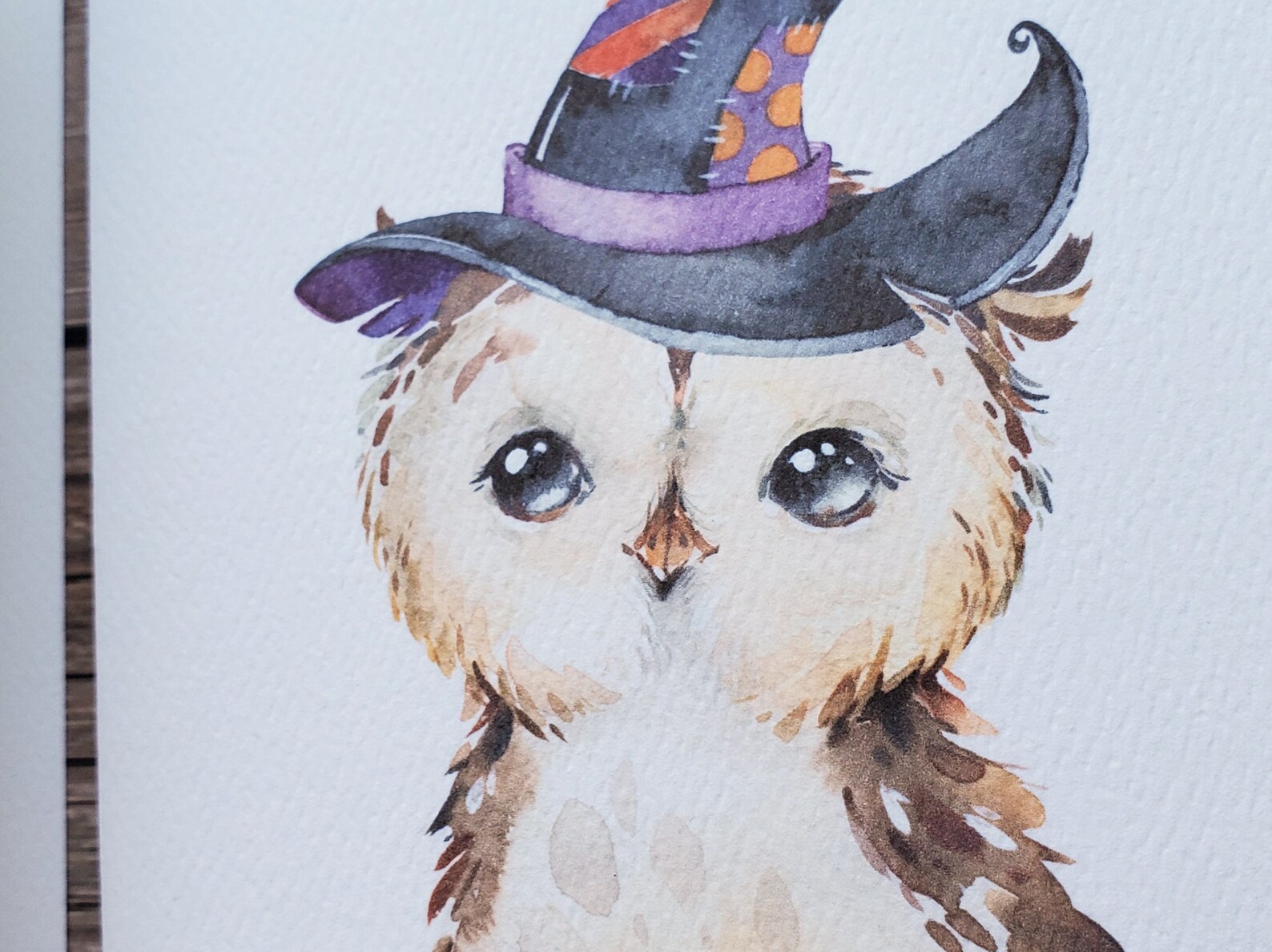 Witchy Animals Card Set Recycled Greeting Cards Cute Animal - Etsy