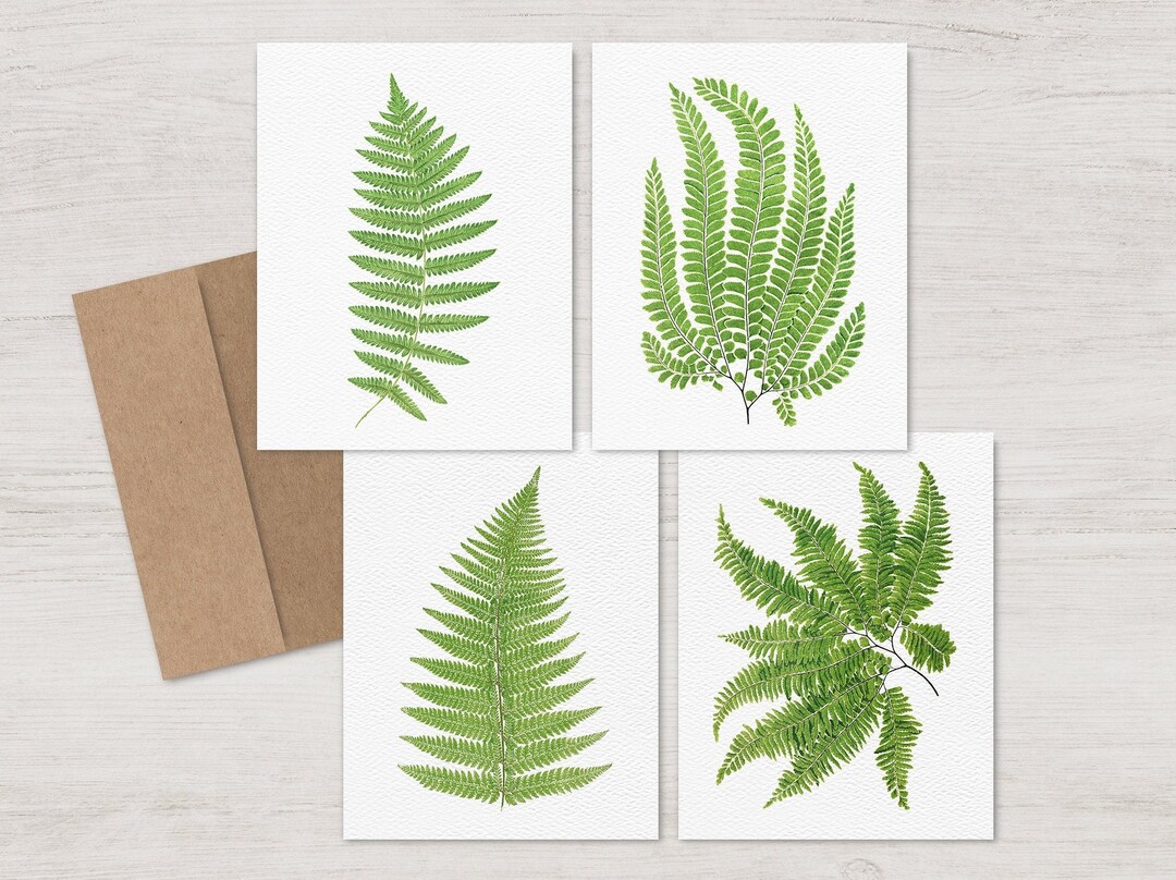 Ferns Botanical Card Pack | Eco Friendly Greeting Cards | Greenery ...