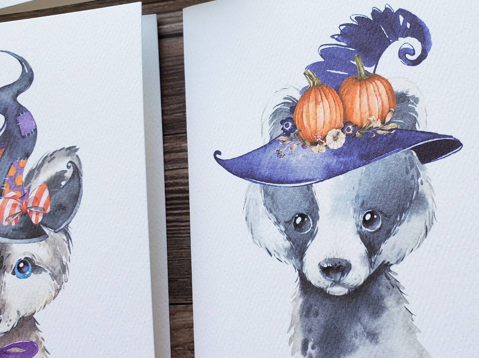 Witchy Animals Card Set Recycled Greeting Cards Cute Animal - Etsy