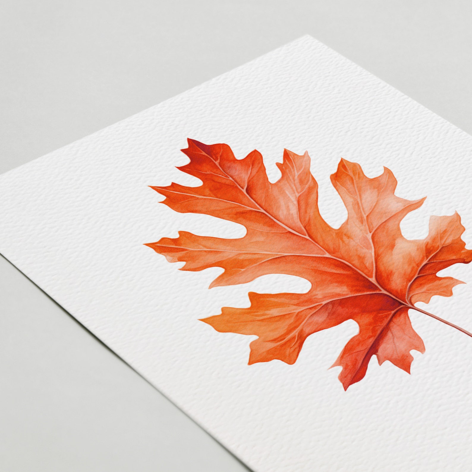 Autumn Leaves Card Pack Recycled Greeting Cards Fall Cards Watercolor ...