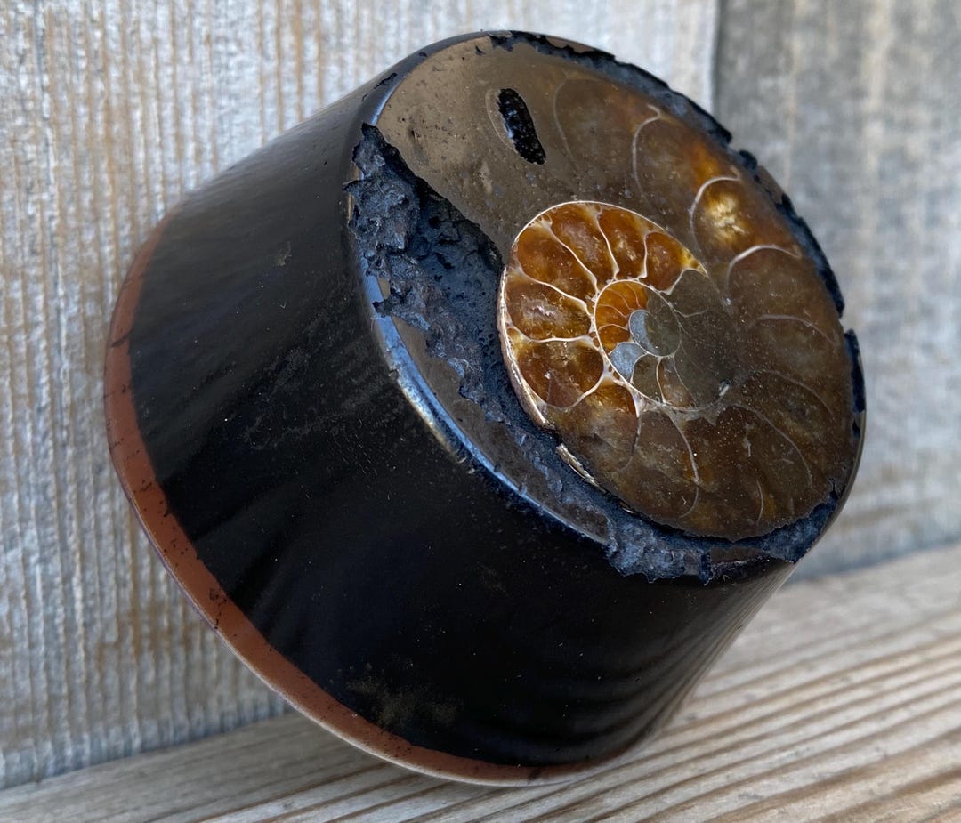 Orgone Energy Ammonite Tower Buster EMF Protection Orgonite - Etsy