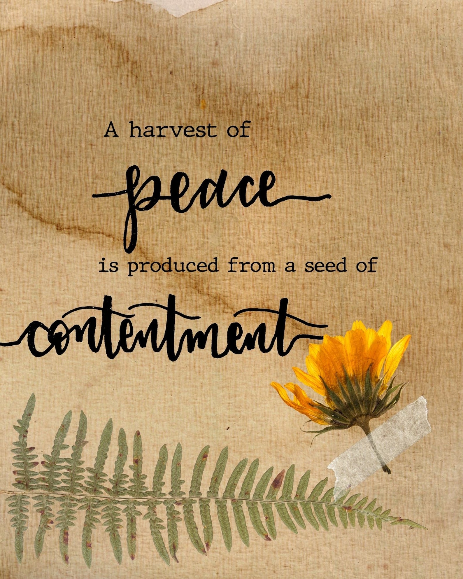 Peace & Contentment Boho Printable Poster | Etsy