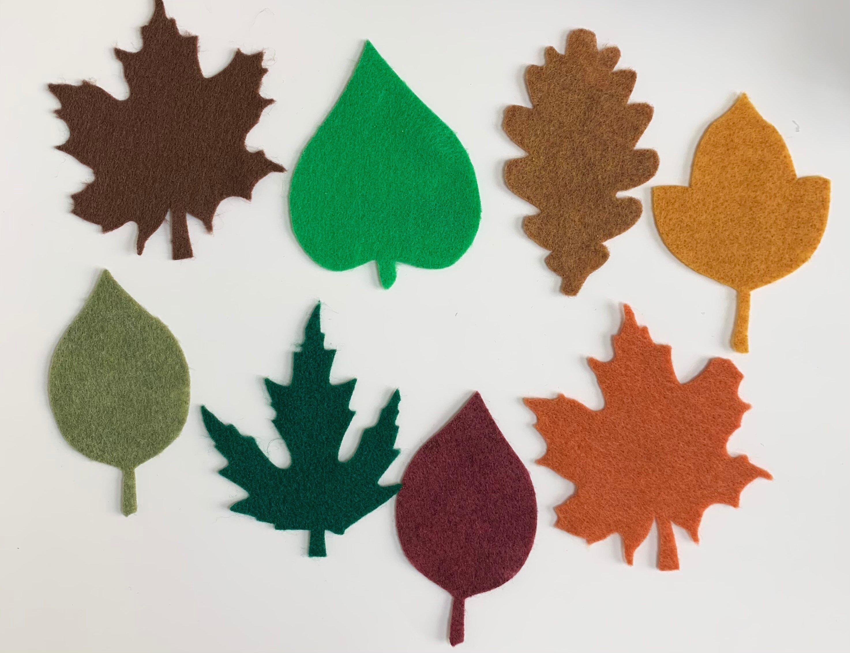 Felt Leaves Fall Felt Die Cuts Felt Fall Leaves Assortment | Etsy