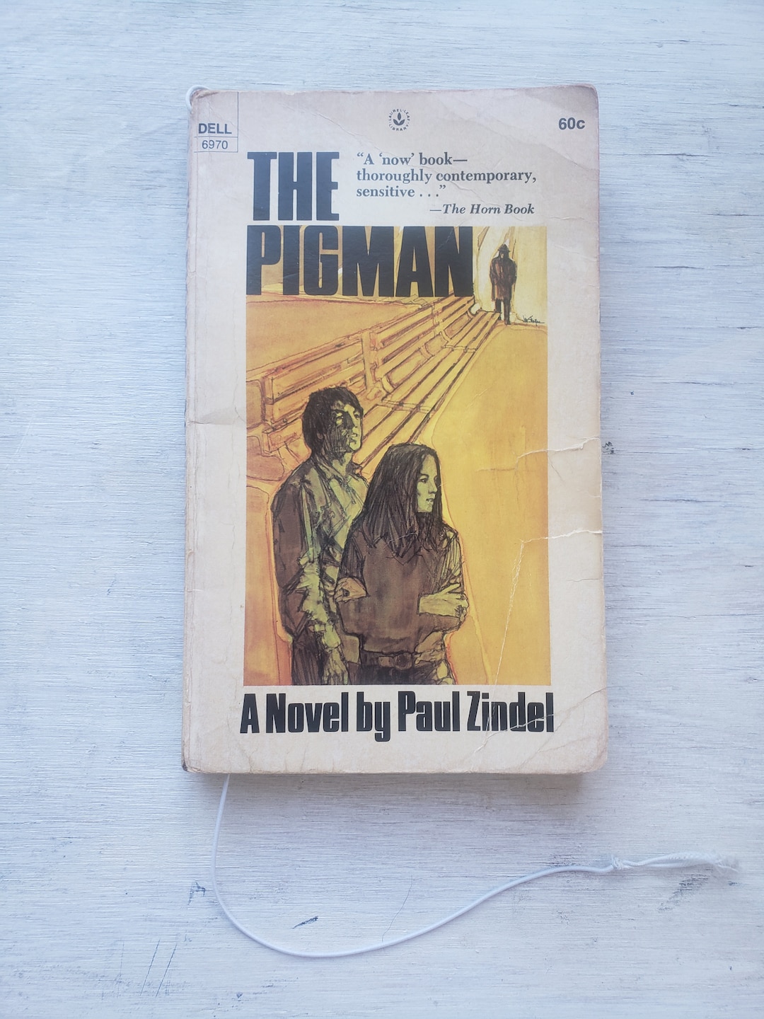 The Pigman by Paul Zindel - Etsy