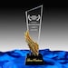 Personalized Crystal Wing Award: Unique Employee Recognition Trophy - Etsy