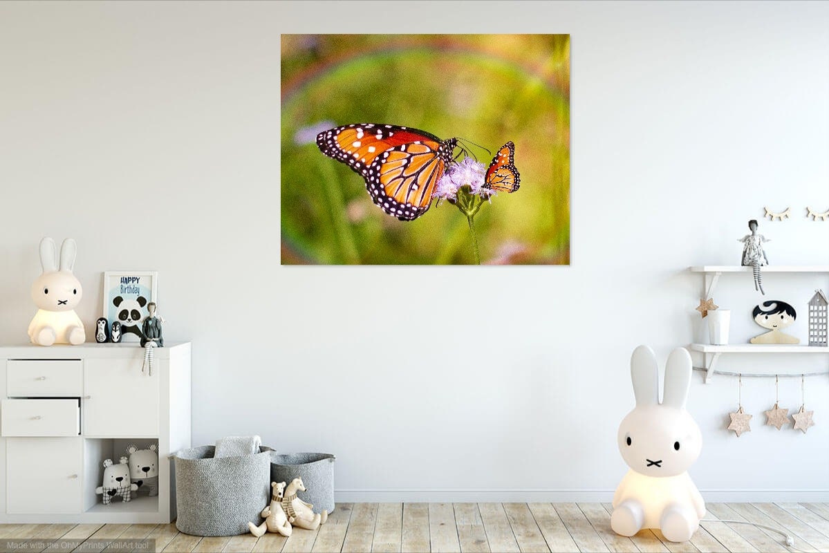 Butterfly Wings Wall Decor Fluttering Butterflies Art Close-up ...