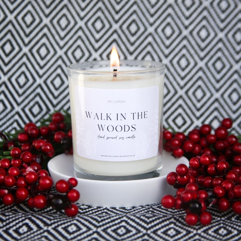 Winter Scented Soy Candle Hand Poured Christmas Candle Clove - Etsy