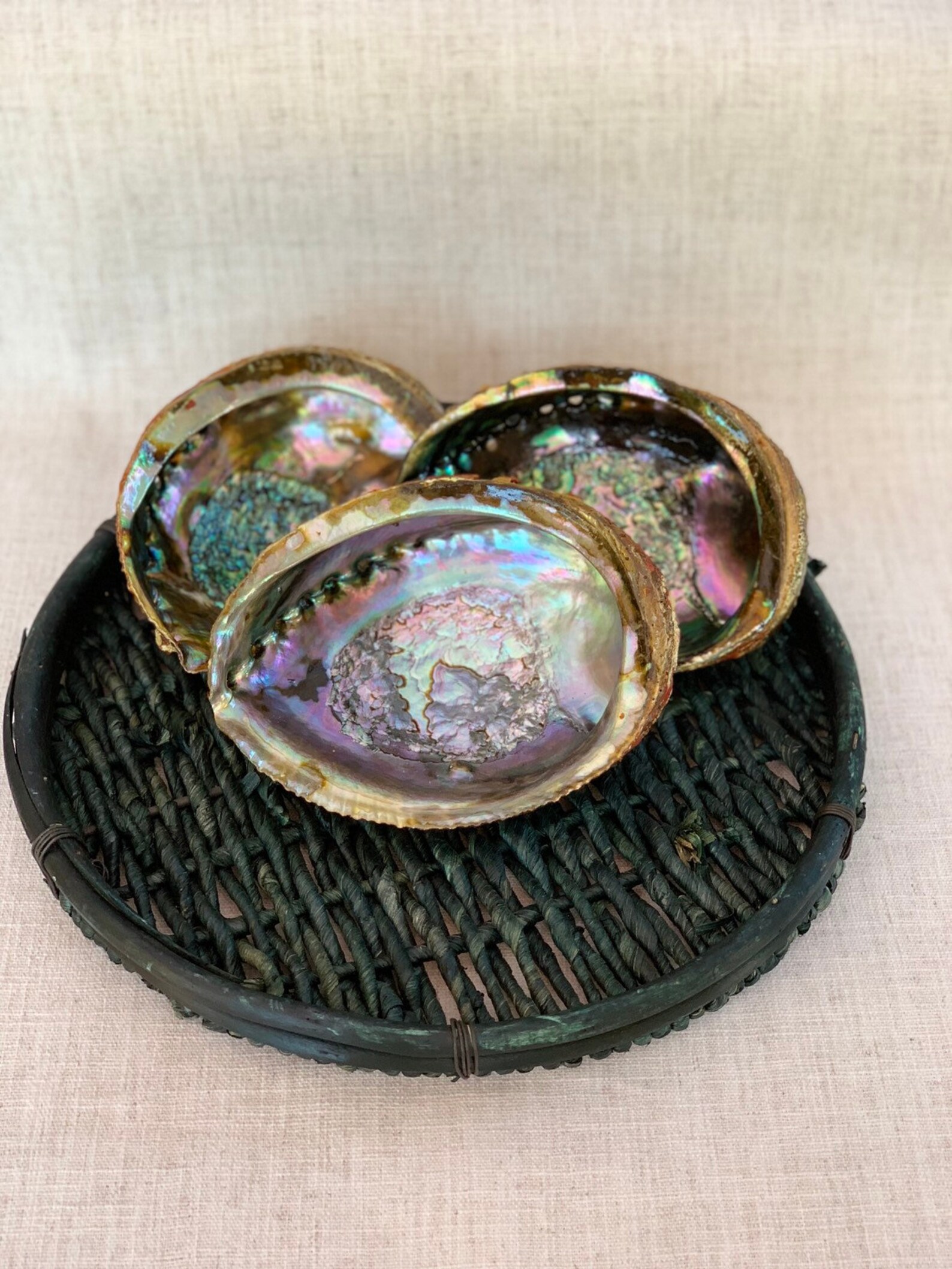 Large Rainbow Abalone Shell / Perfect for Smudging / Smudge - Etsy UK