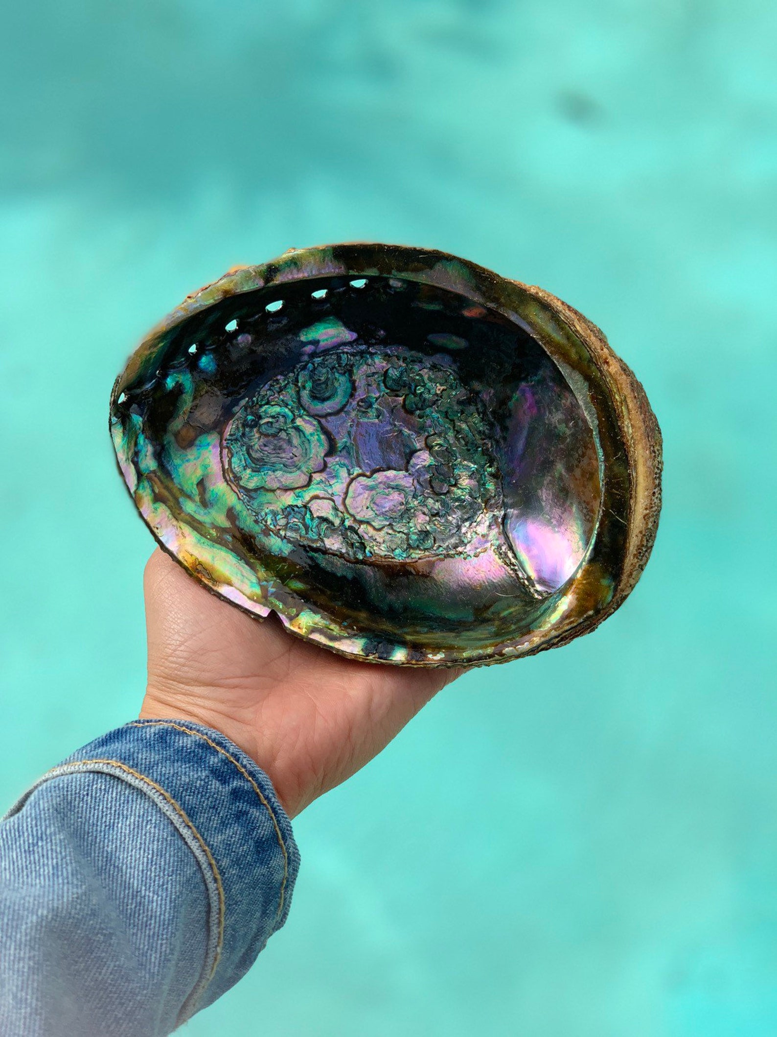 Large Rainbow Abalone Shell / Perfect for Smudging / Smudge - Etsy UK