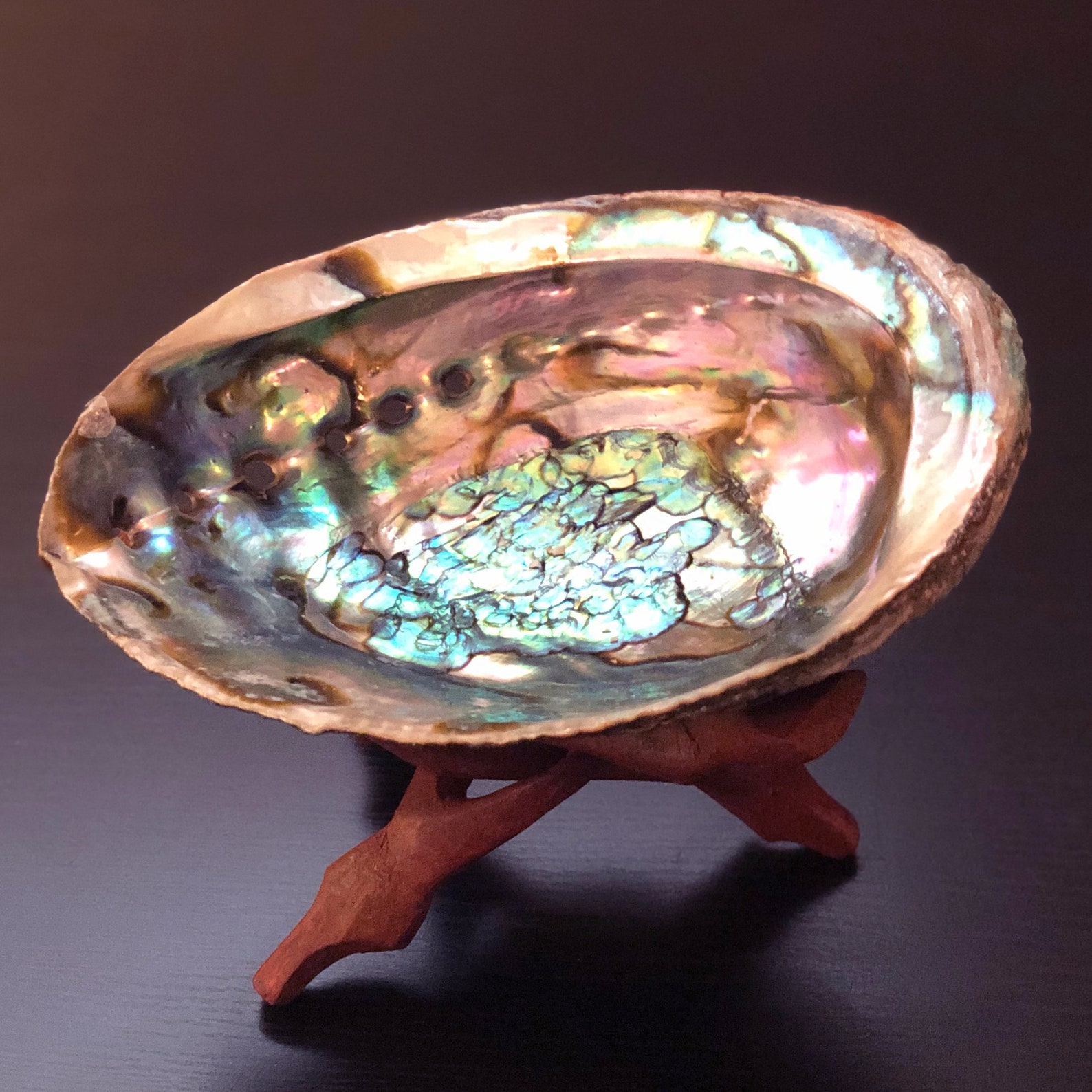 Wooden Shell Tripod Display Stand Hand Carved Base for - Etsy