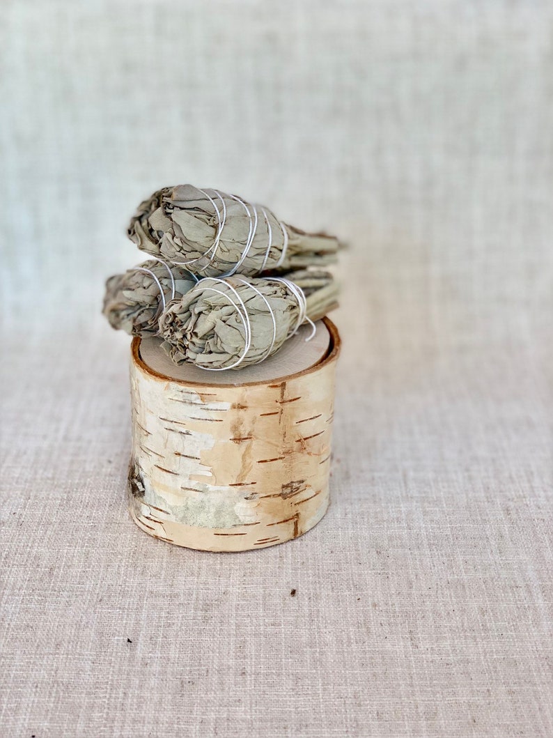 Beginner Cleansing Smudging Kit to Remove Negativity Palo - Etsy