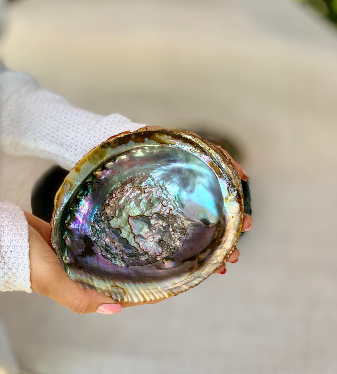 Large Rainbow Abalone Shell / Perfect for Smudging / Smudge - Etsy UK