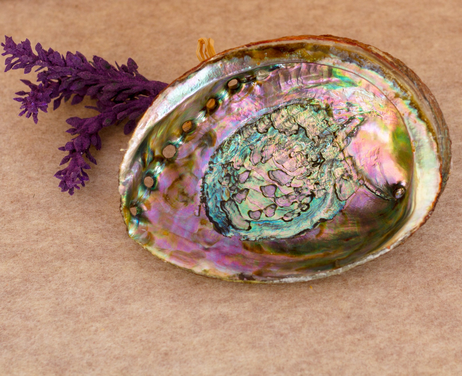 Home Smudging Kit /premium Abalone Shell/smudging Love - Etsy