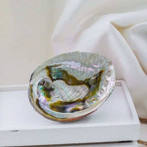 Shell Painting - Etsy