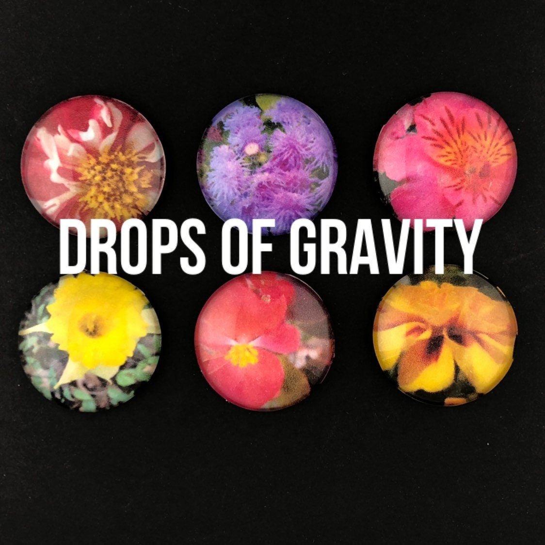 Flower Magnets Floral Magnets Bright Magnets Strong - Etsy