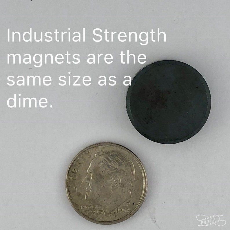 Set of 6 Geometric Animal Magnets Horse Magnet Cat Magnet - Etsy