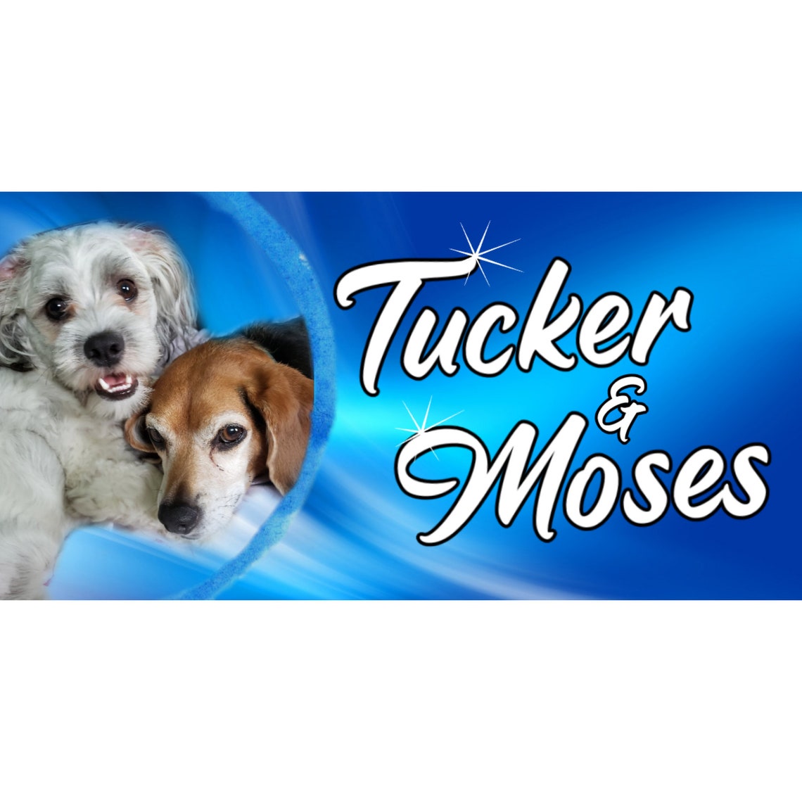 Personalized Dog Pet Photo Custom License Plate Auto Tag Cute - Etsy