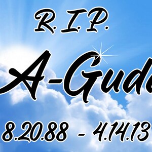 Personalized Photo Custom License Plate in Loving Memory Auto Tag Gift ...