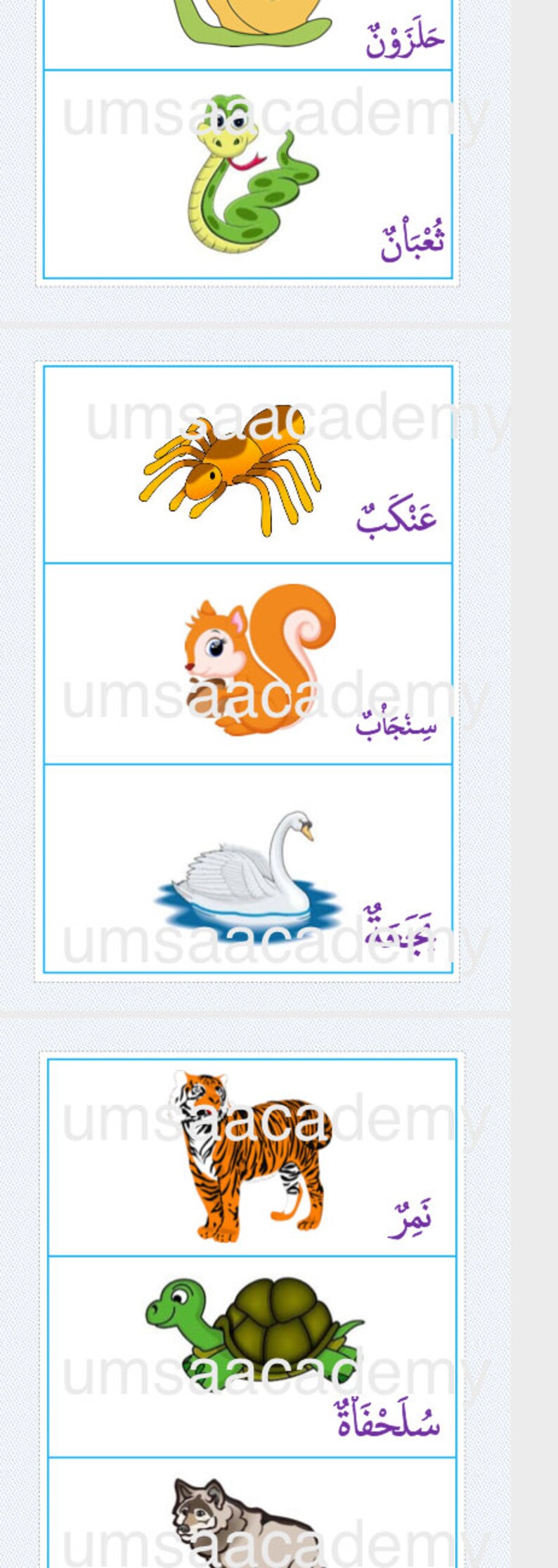 Animals in Arabic: Flashcards - Etsy