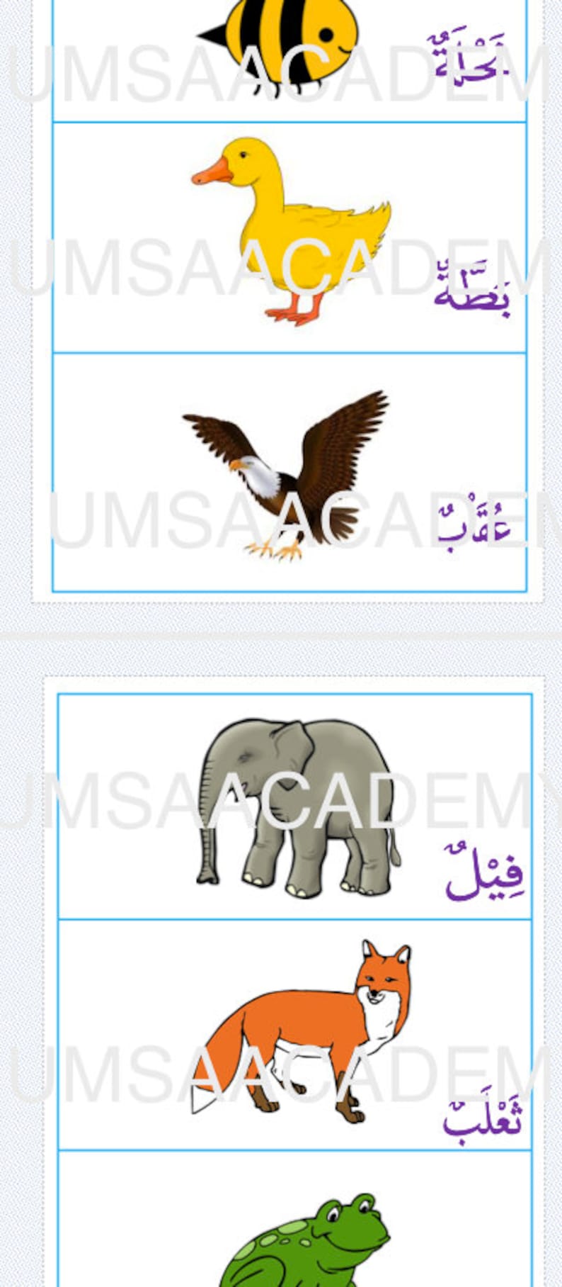 Animals in Arabic: Flashcards - Etsy