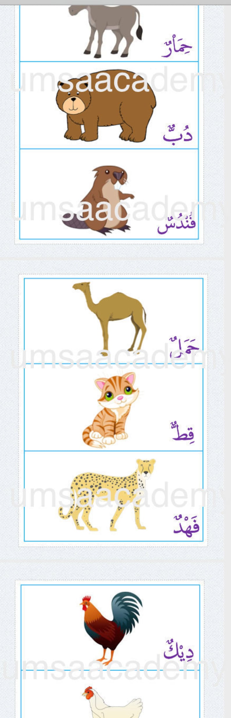 Animals in Arabic: Flashcards - Etsy