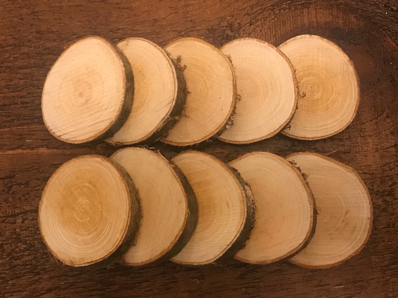 Rustic Natural Birch Wood Slices / Rounds / Craft 6-6.5cm | Etsy