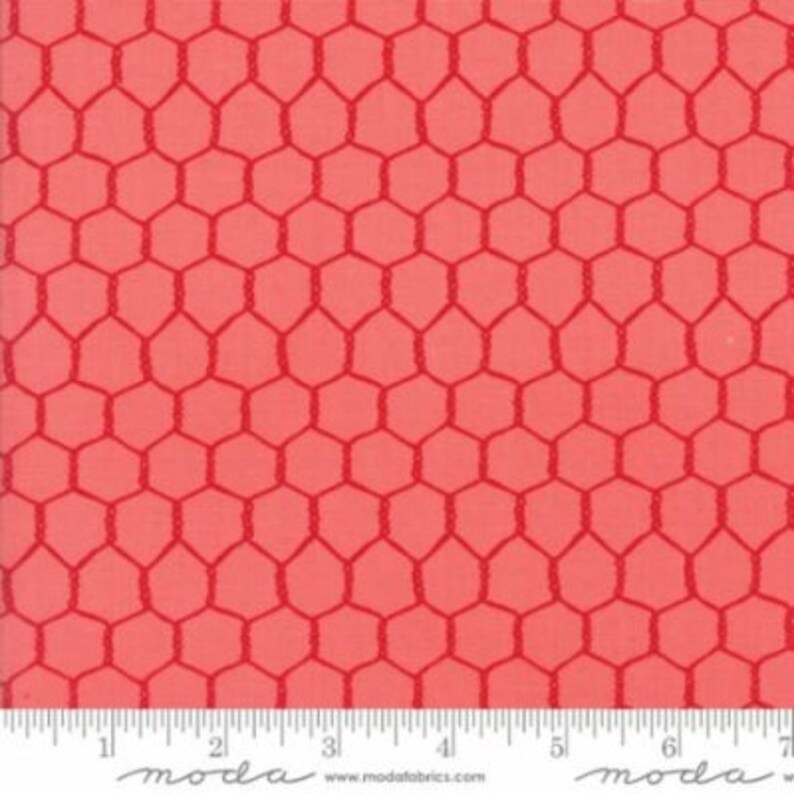 Farm Fun Fabric Chicken Wire Straberry ref 20536-21 - Etsy