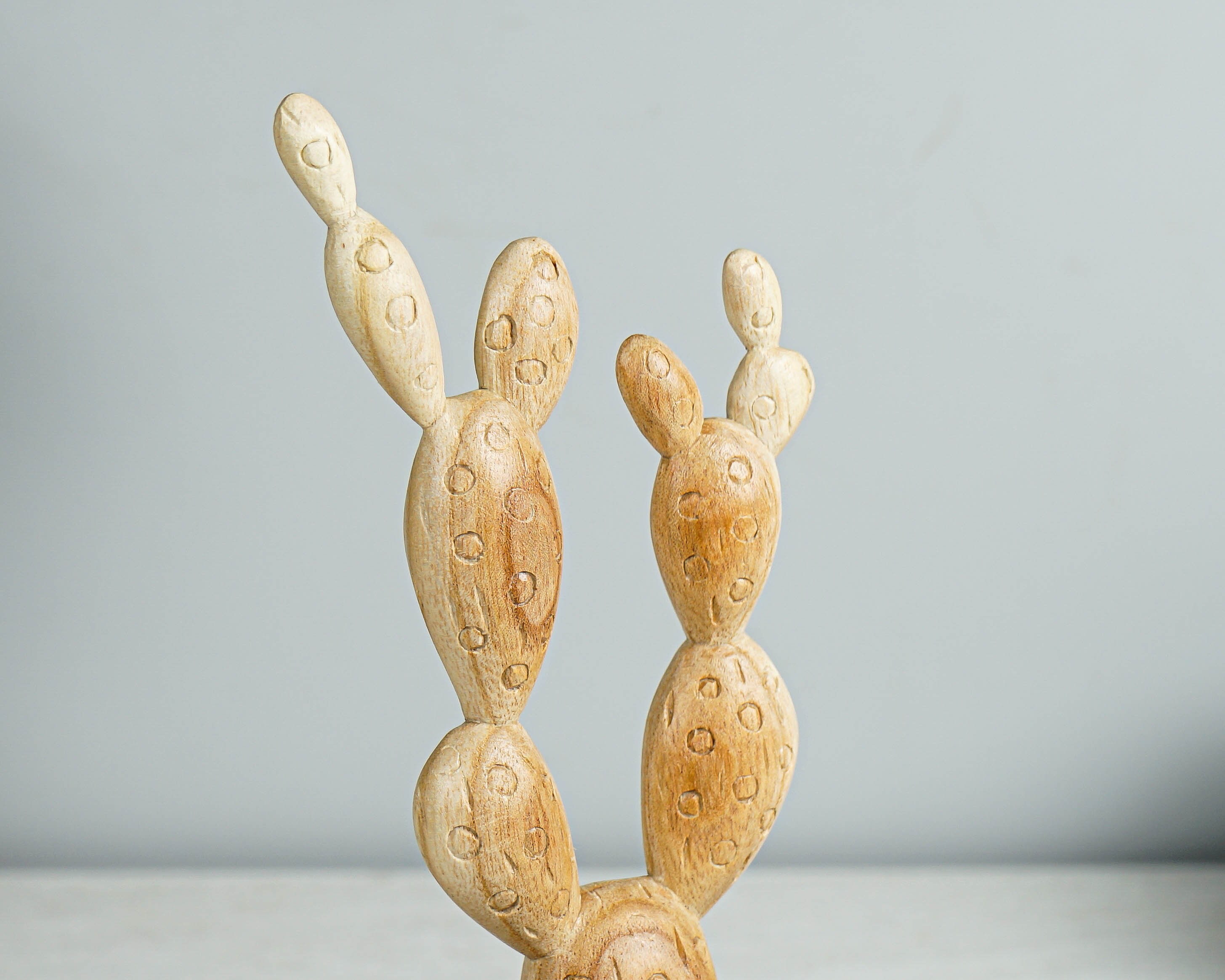 Wooden Cactus Decor 9.7 Statue Figurine Succulent - Etsy