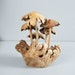 Wooden Mushroom Statue, Unique Shape, Forest Mushroom, Personalize ...