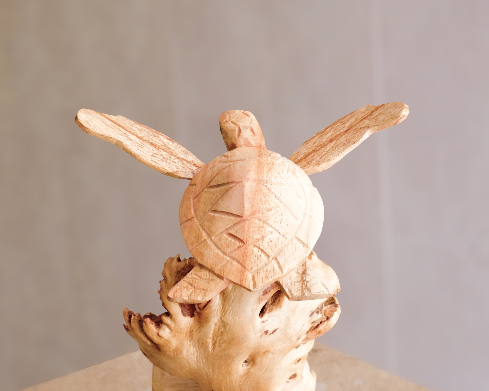 Wooden Sea Turtle Sculpture Wood Carving Ocean Personalized | Etsy