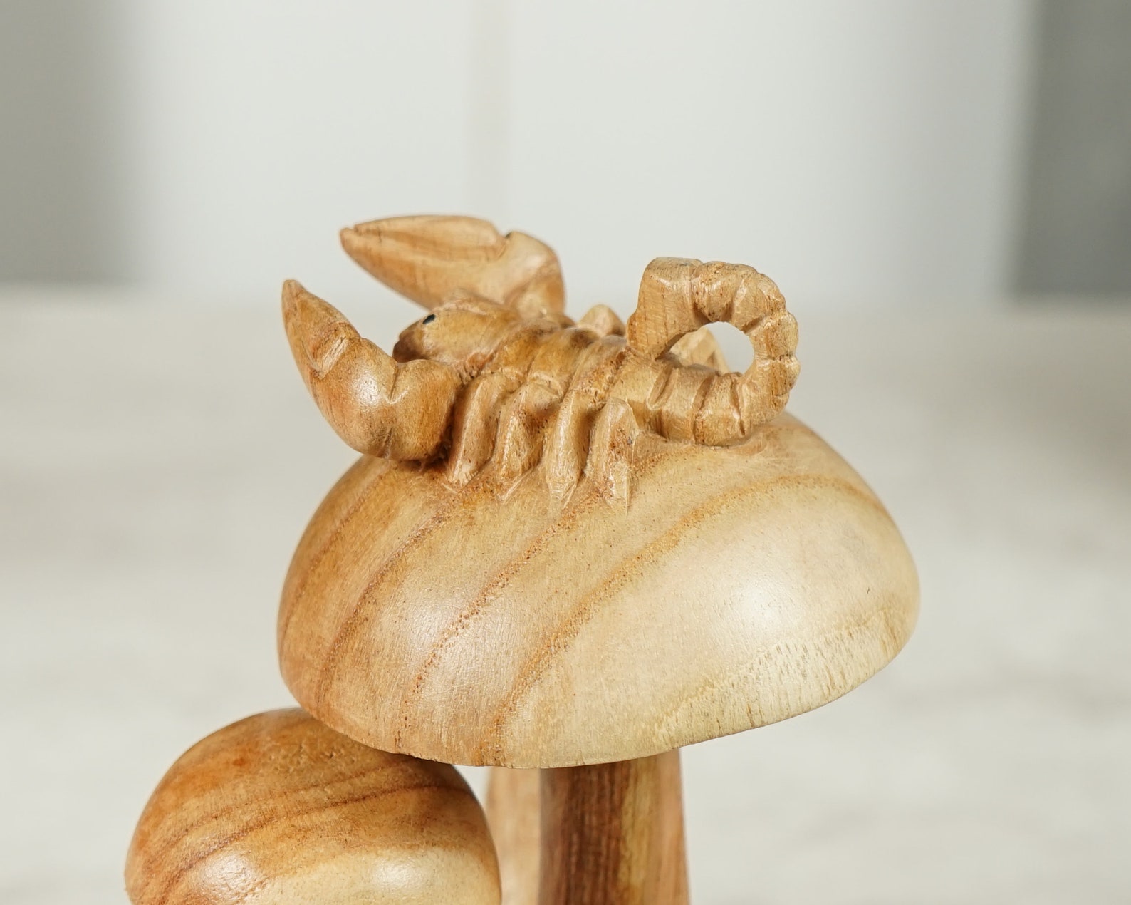 Scorpion on Mushroom, Insect, Parasite Wood, Wood Carving, Handcrafted ...