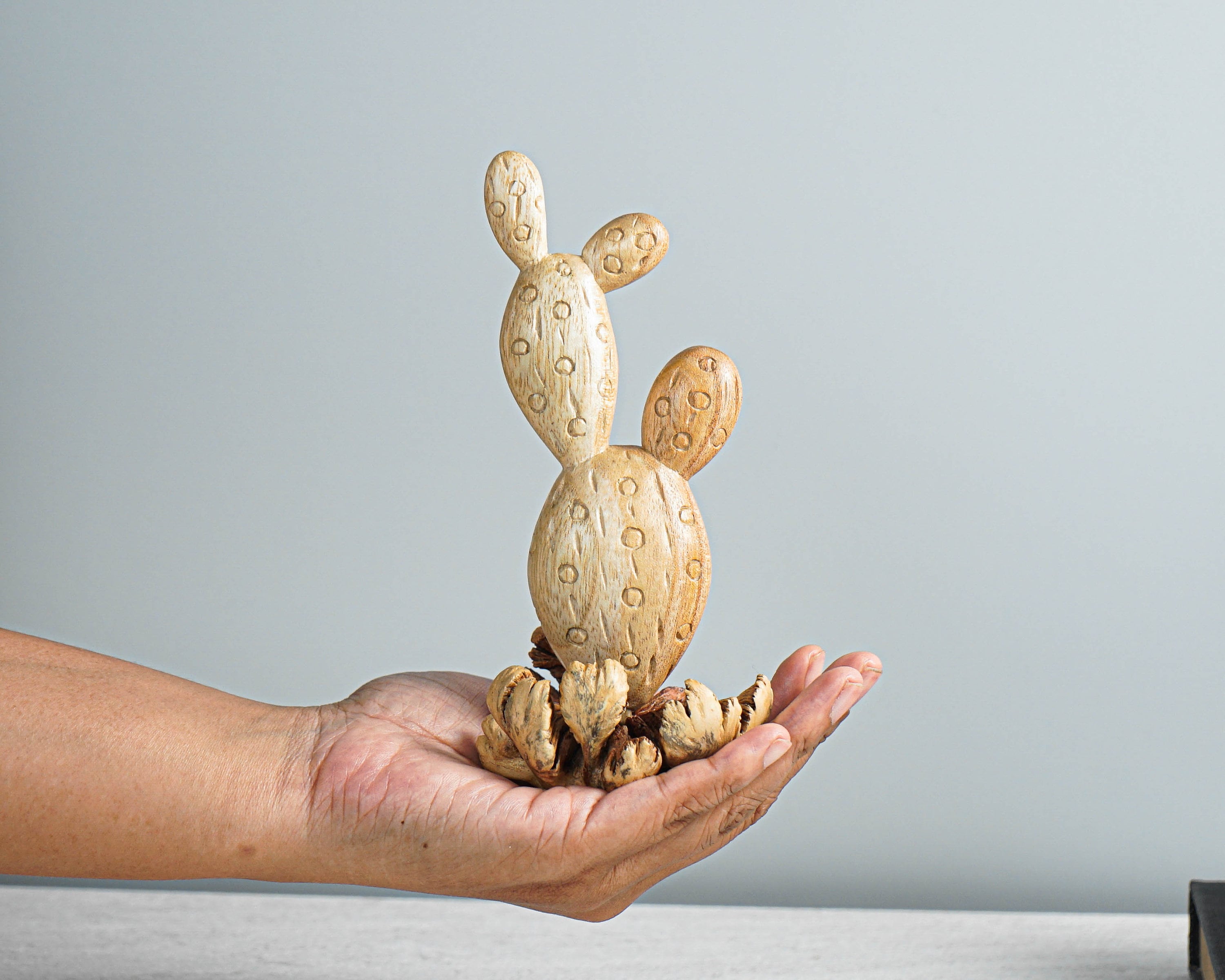 Wooden Cactus Sculpture 6.5 Statue Succulent Plant | Etsy