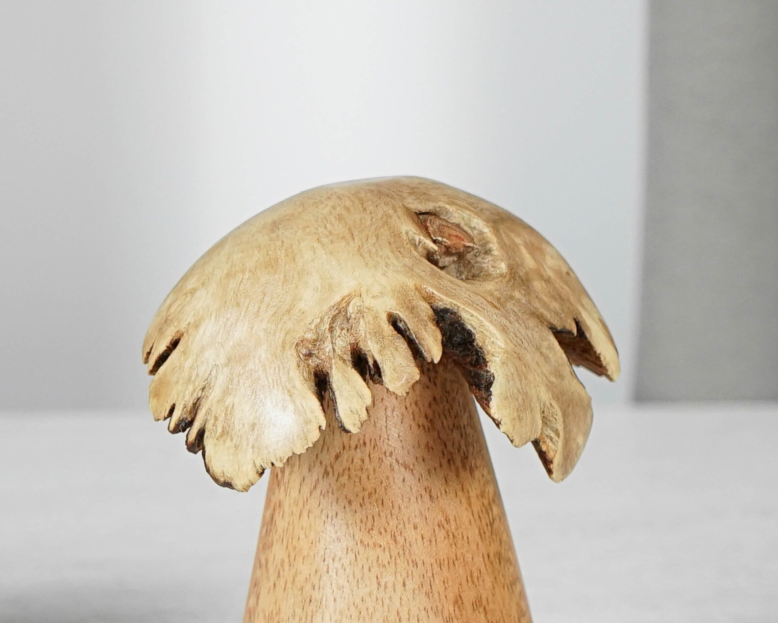 Set of 5 Miniature Mushrooms Table Decor Wooden Sculpture | Etsy